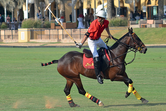 Beach Polo - Connector Dubai